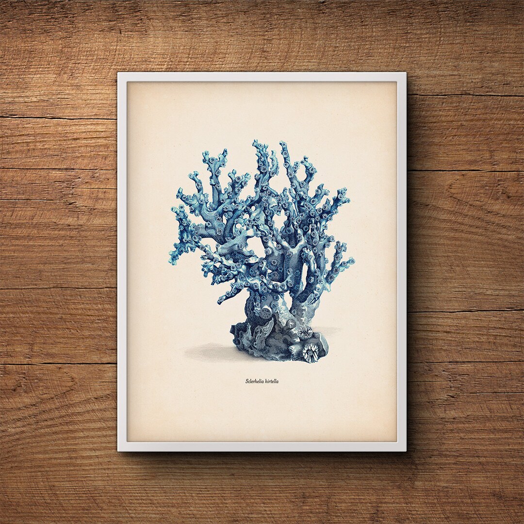 Blue Coral Print, Coastal Wall Print, Coastal Beach Print, Large Art ...