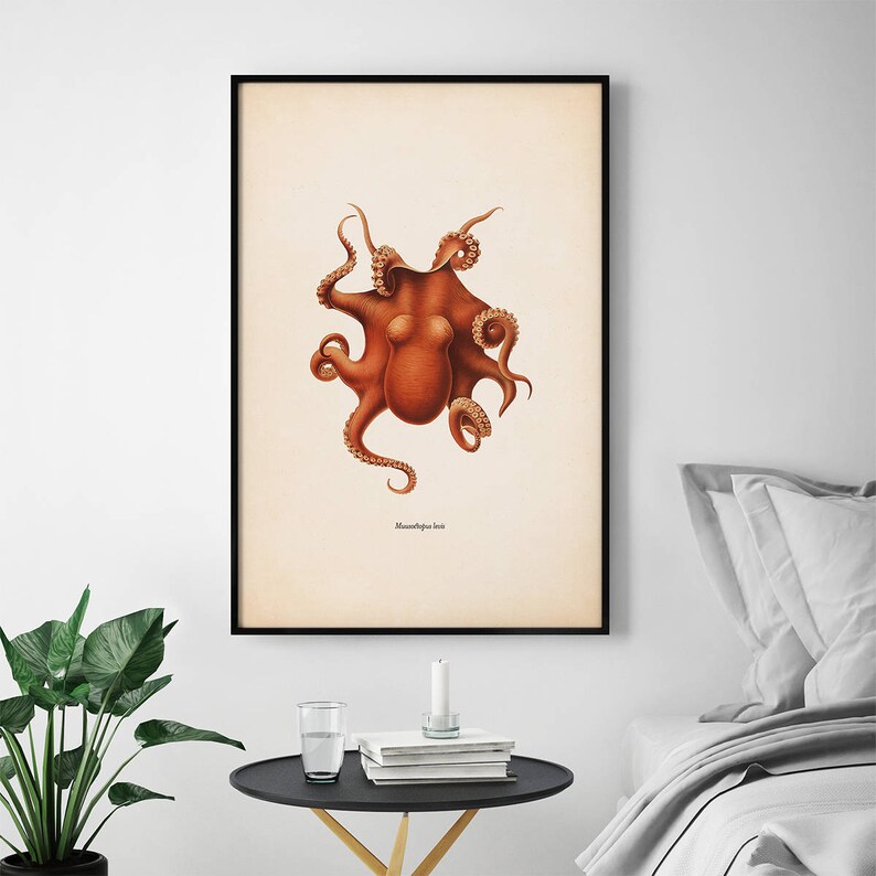 Octopus Print Octopus Poster Octopus Art Octopus Wall Art | Etsy
