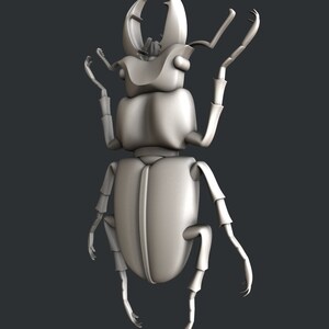 3d STL Models for CNC Bug - Etsy