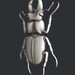 3d STL Models for CNC Bug - Etsy
