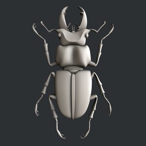 3d STL Models for CNC Bug - Etsy