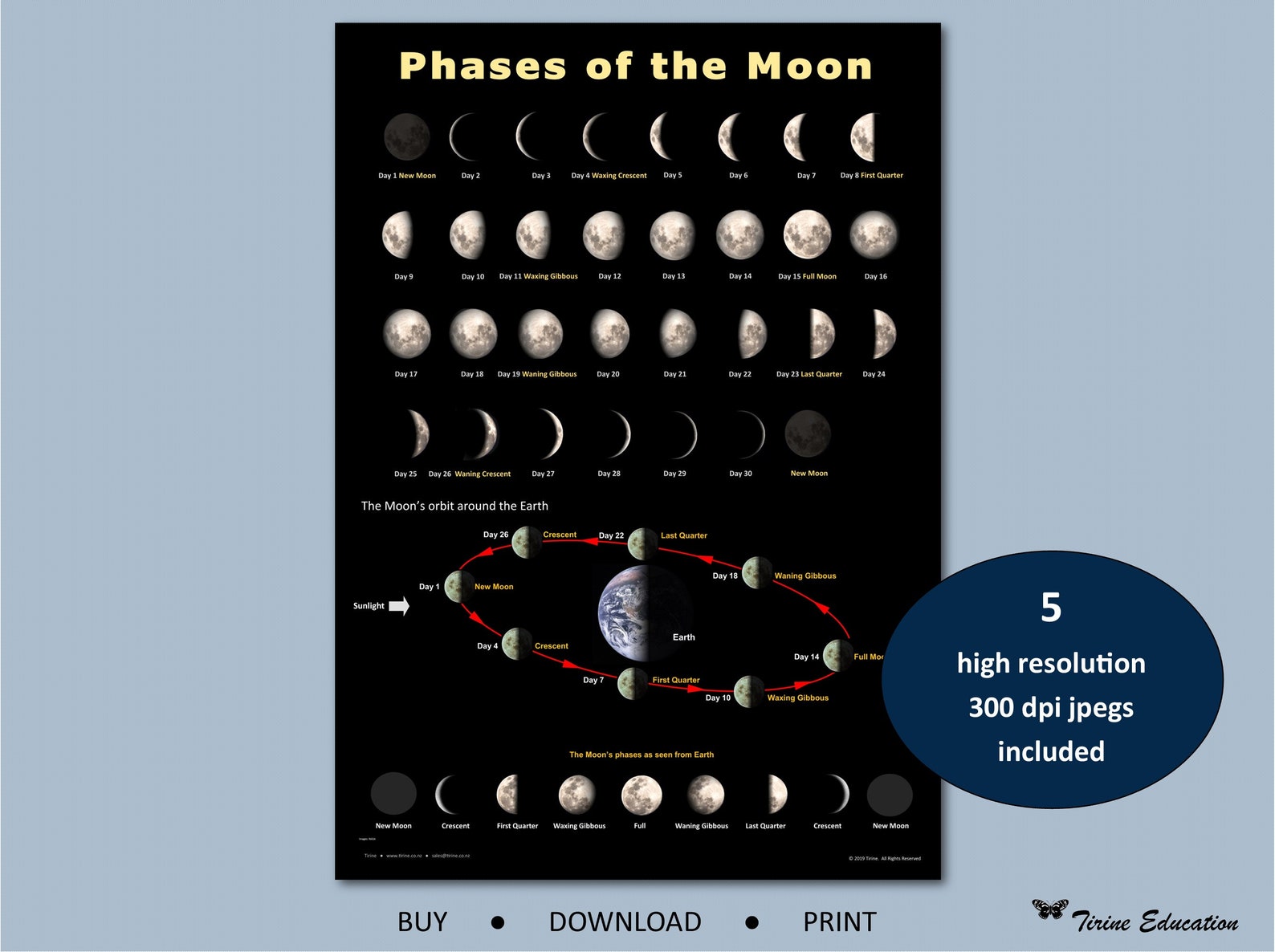 Phases of the Moon Poster, Earth Science Poster, Middle School, Grades ...
