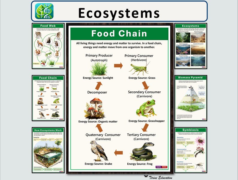 Ecosystems, Poster Set, Environmental Science, Middle School, Grades 4 ...