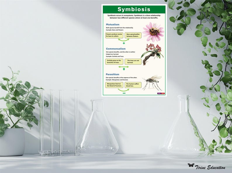 Symbiosis Classroom Poster – Science Biology Classroom Decor ...