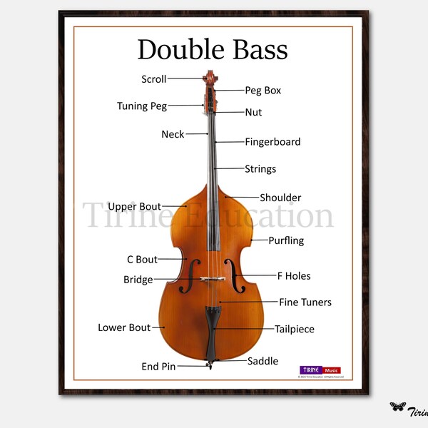Double Bass - Etsy