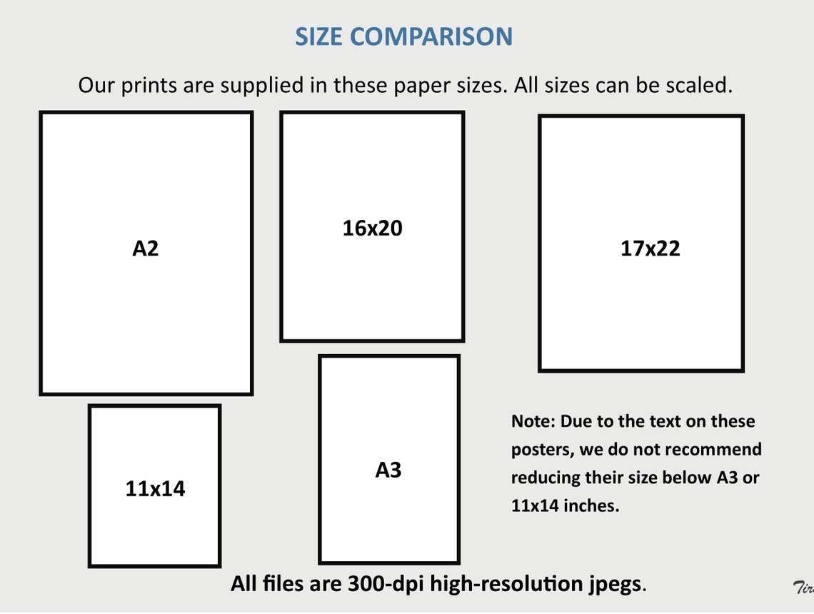 Bacteria Cell Poster, Educational Poster, Science Biology Classroom ...