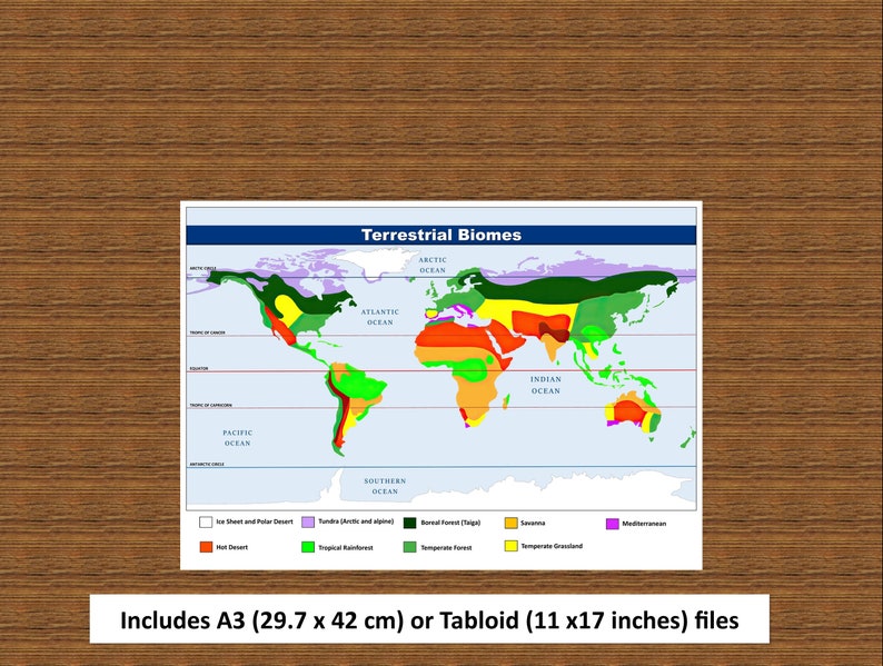 Terrestrial Biomes Classroom Display Set, Biology Posters, Middle and ...