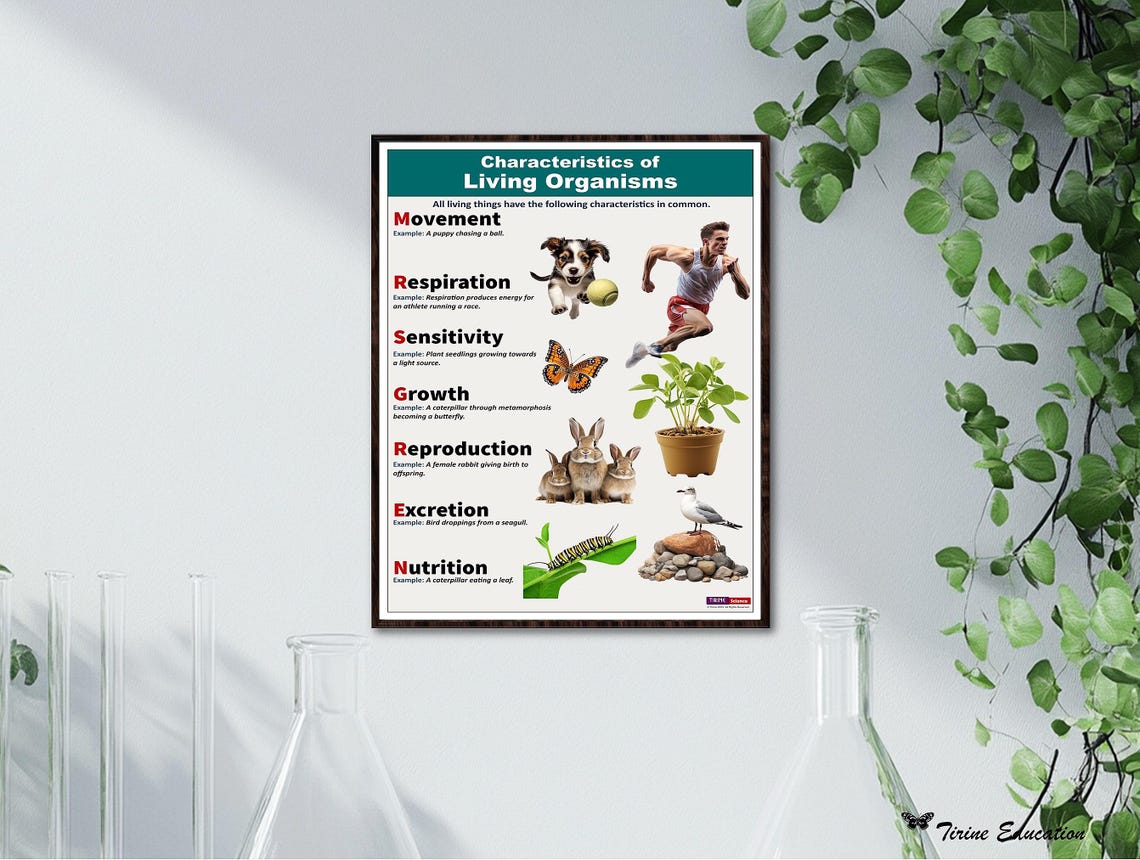 Characteristics of Living Organisms – MRS GREN Science Poster for ...