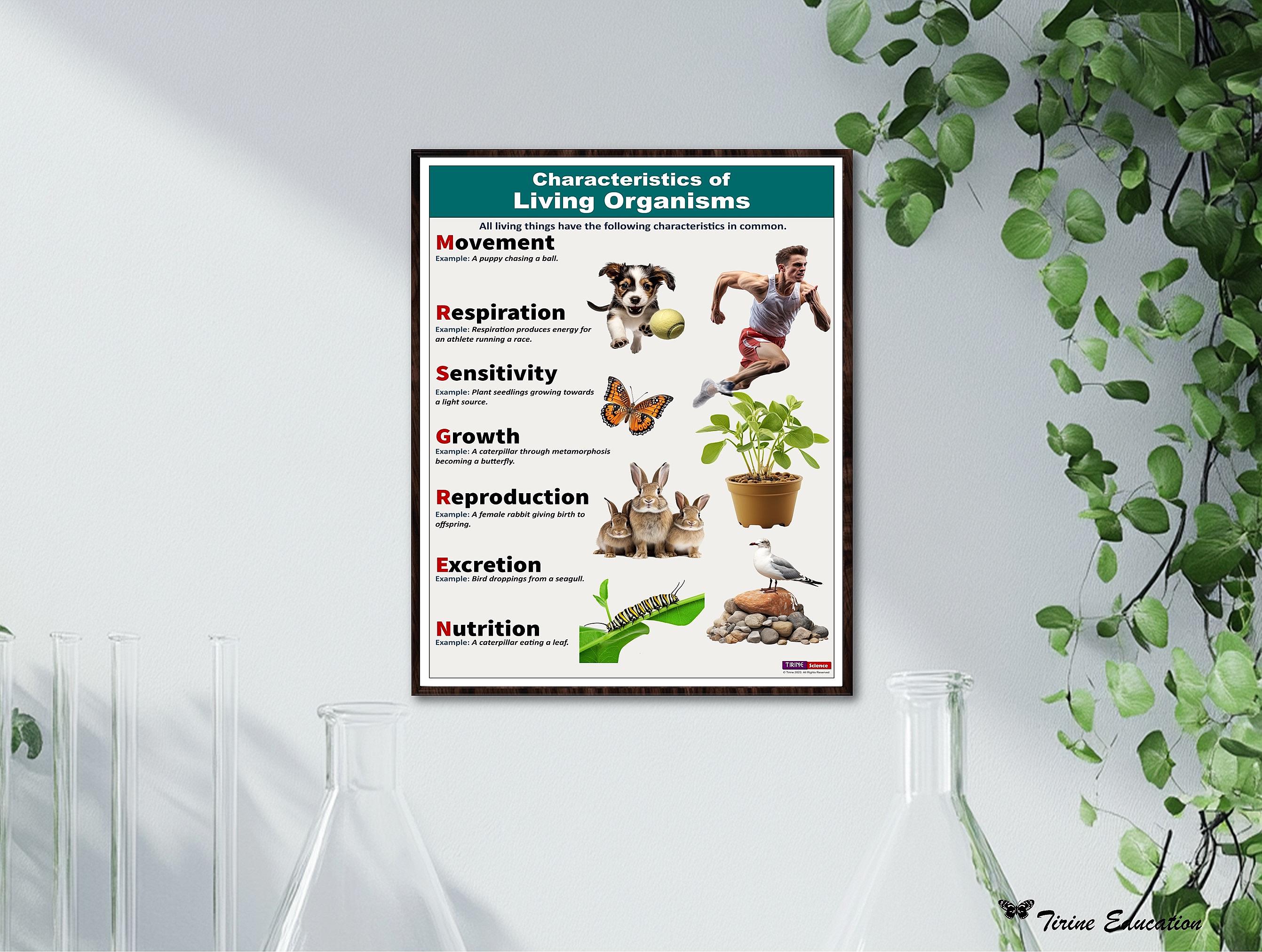 Characteristics of Living Organisms – MRS GREN Science Poster for ...