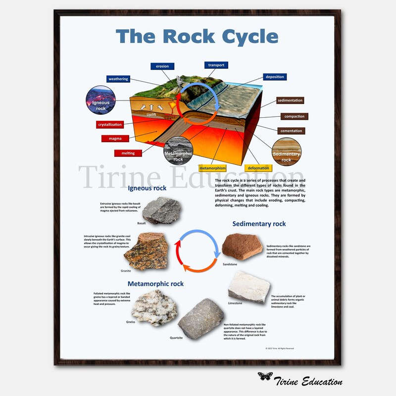 Science Poster - Etsy