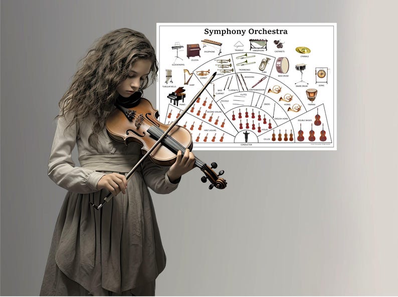 Symphony Orchestra Classroom Poster – Music Classroom Decor, Bulletin ...