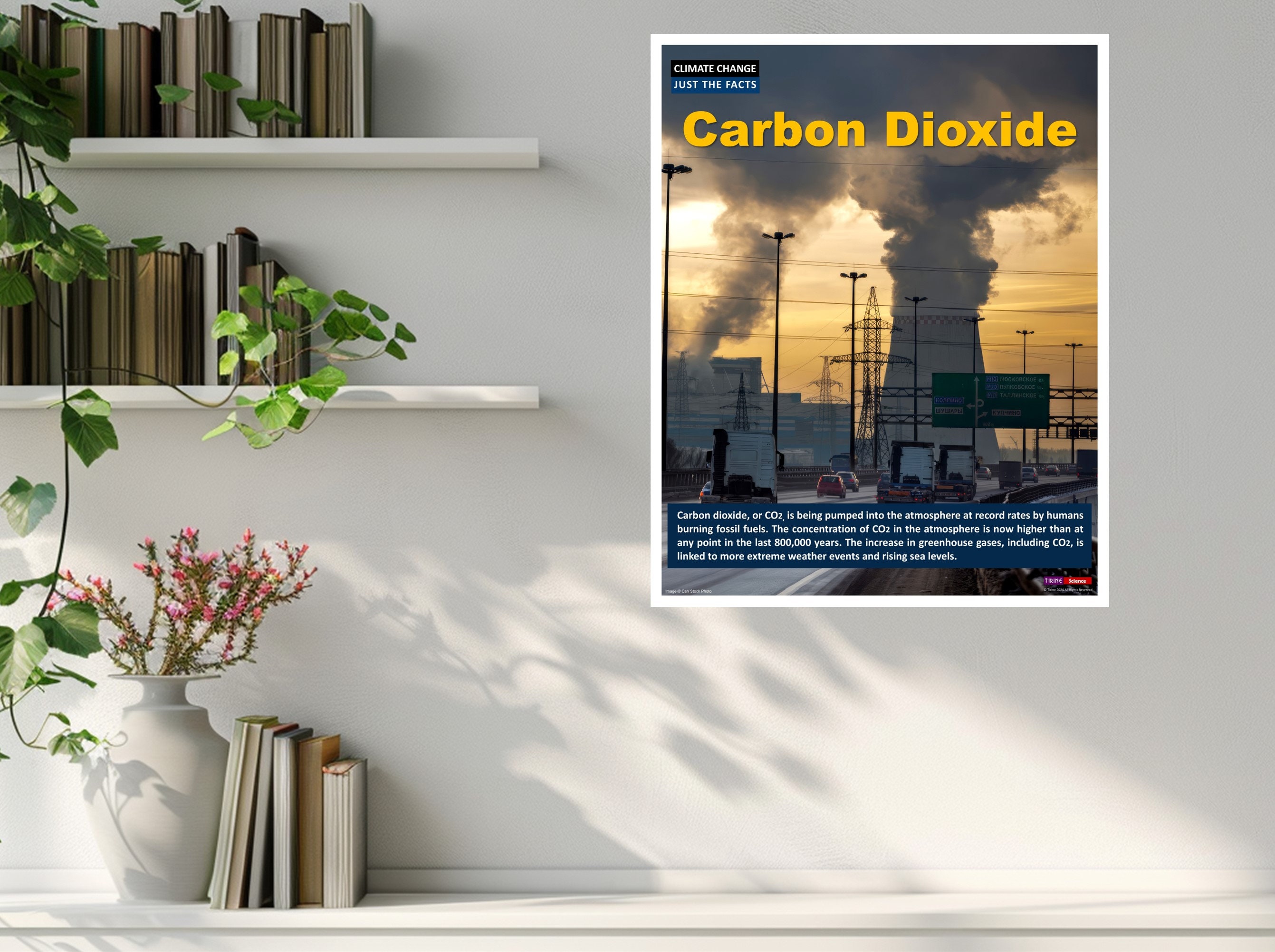Carbon Dioxide Climate Change Poster, Environmental Science, Middle ...