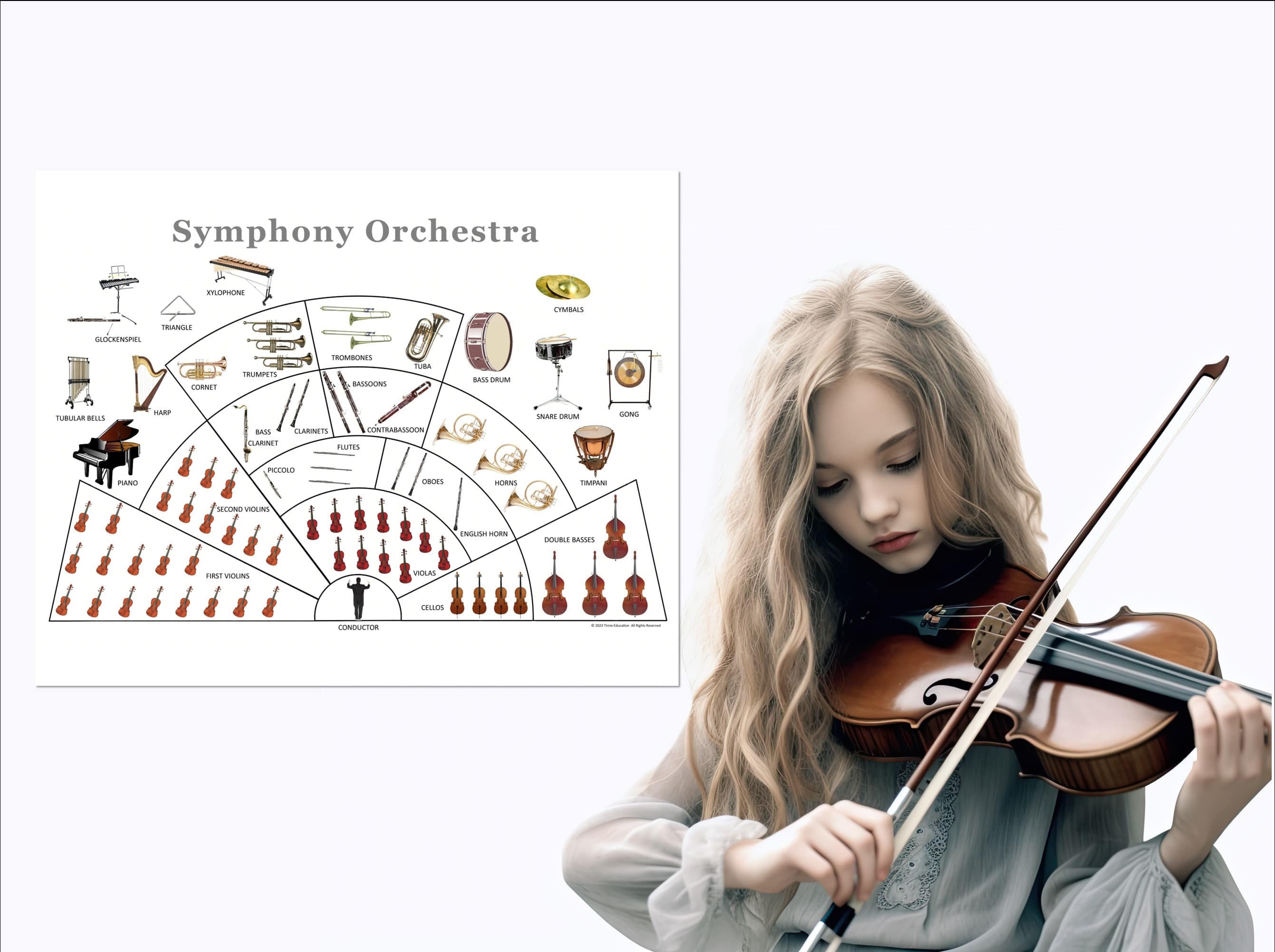 Symphony Orchestra Layout Poster, Printable Classroom Orchestra Poster ...