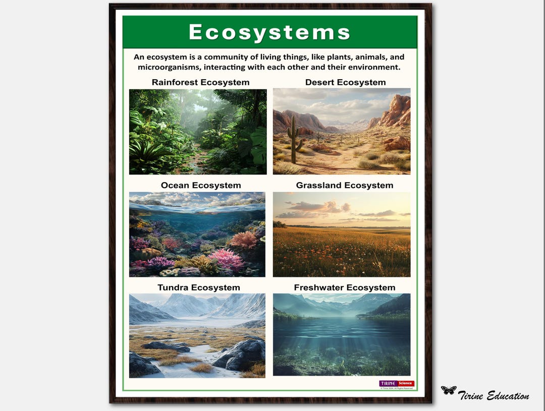 Types of Ecosystems, Ecosystem, Poster, Middle School, Grades 6-8, Biology, Science Classroom ...