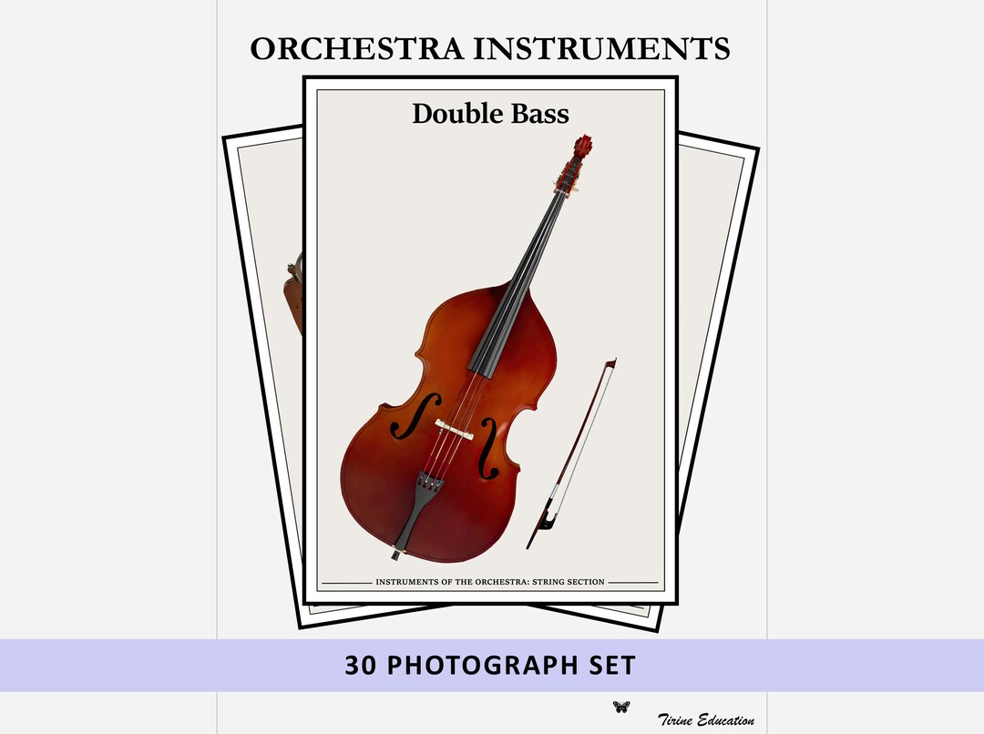 30 Orchestra Instruments Posters, Music Classroom Decor, String ...