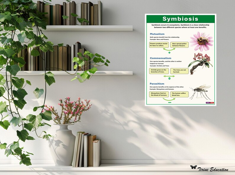 Symbiosis Classroom Poster – Science Biology Classroom Decor ...