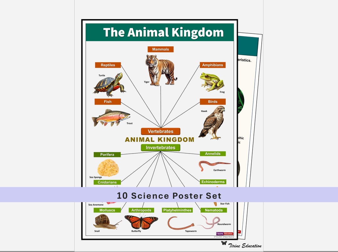 Science Classroom Posters, Scientific Classification, Middle & High ...
