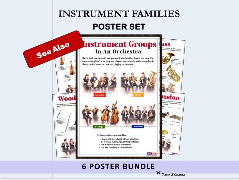 Music Classroom Posters, String Instruments Named Parts, Middle and ...