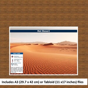 Terrestrial Biomes Classroom Display Set, Biology Posters, Middle and ...