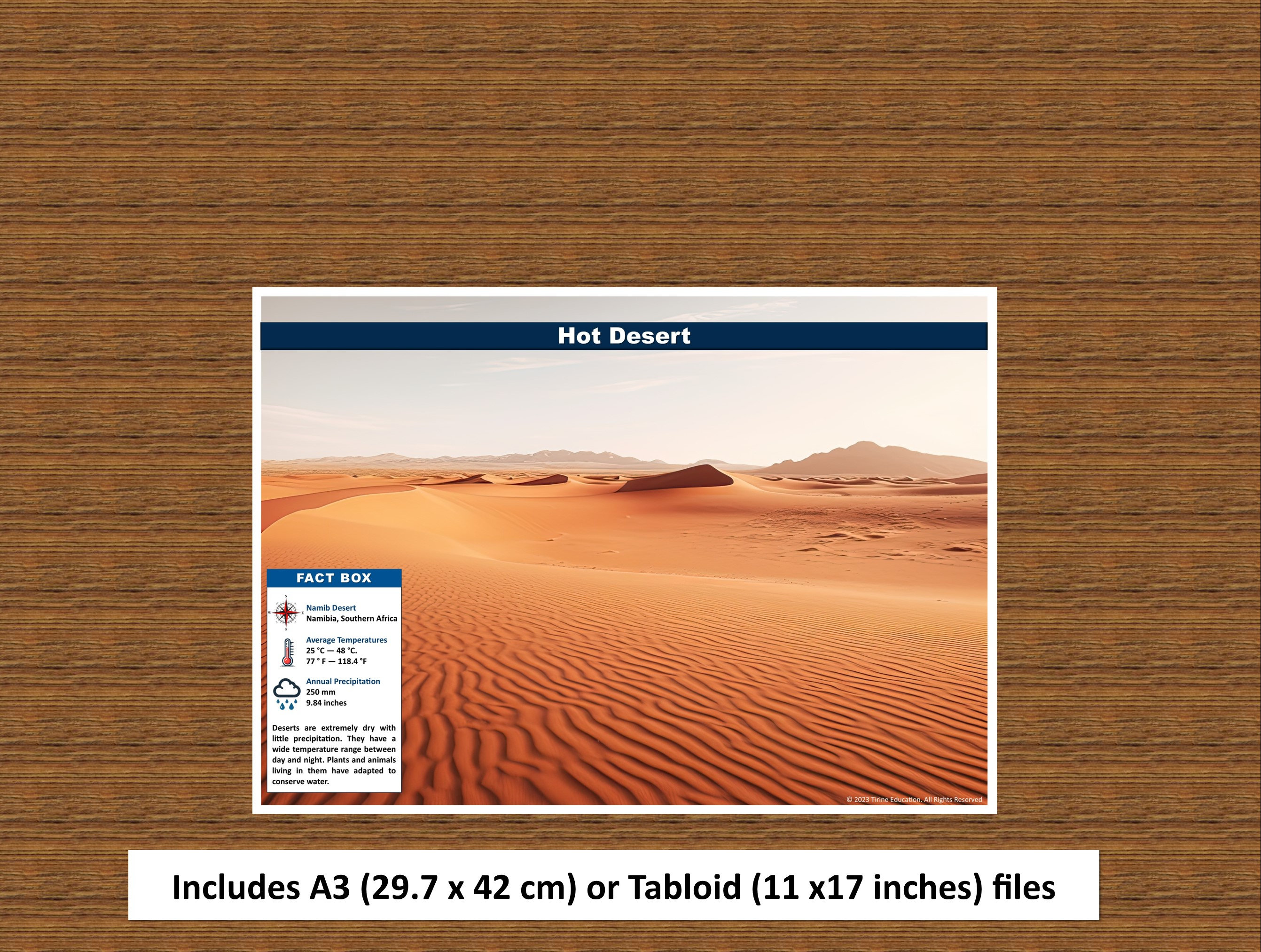 Terrestrial Biomes Classroom Display Set, Biology Posters, Middle and ...