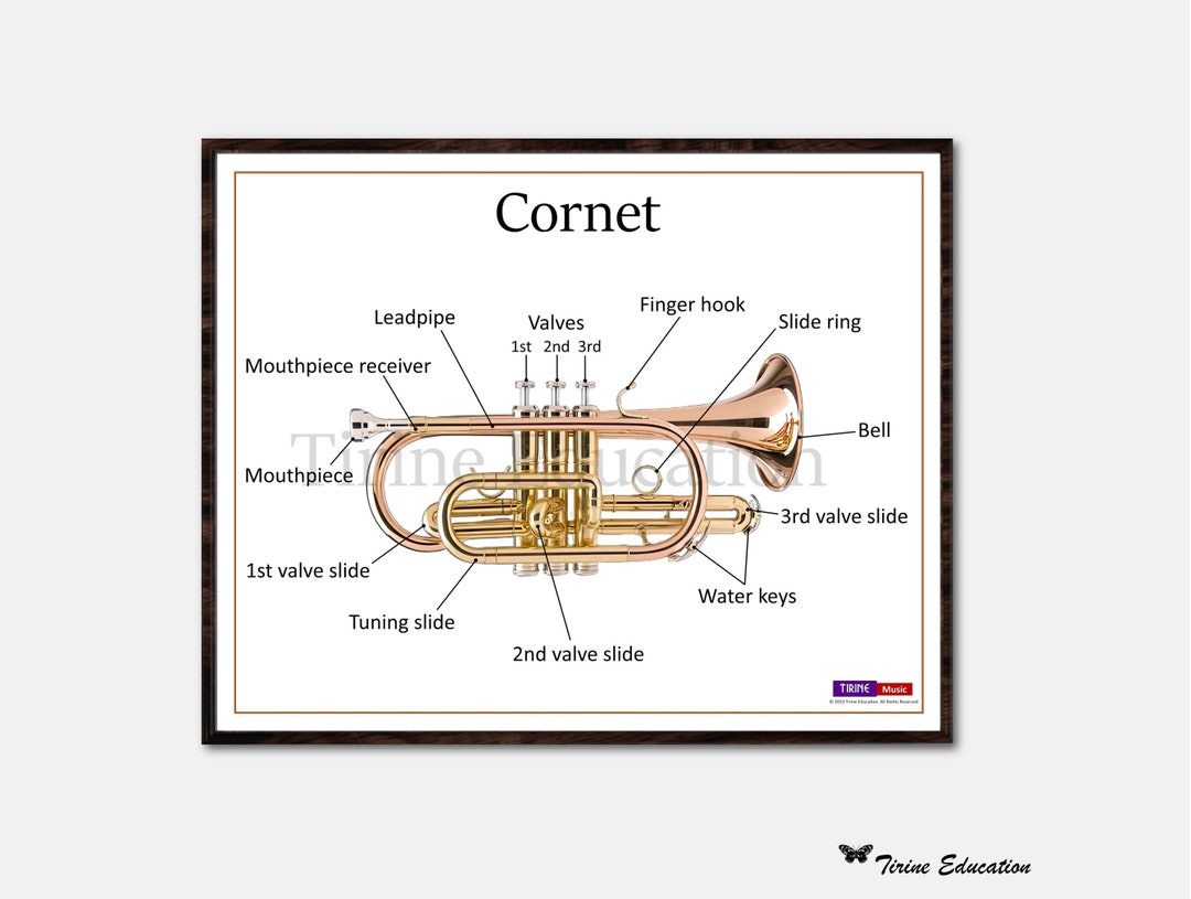 Cornet Music Classroom Poster, Parts of a Cornet, Printable Classroom ...