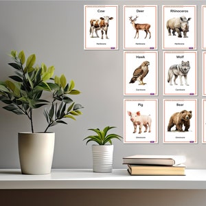 Classifying Common Animals, Junior Science, Classroom Posters, Ages 5-6 ...
