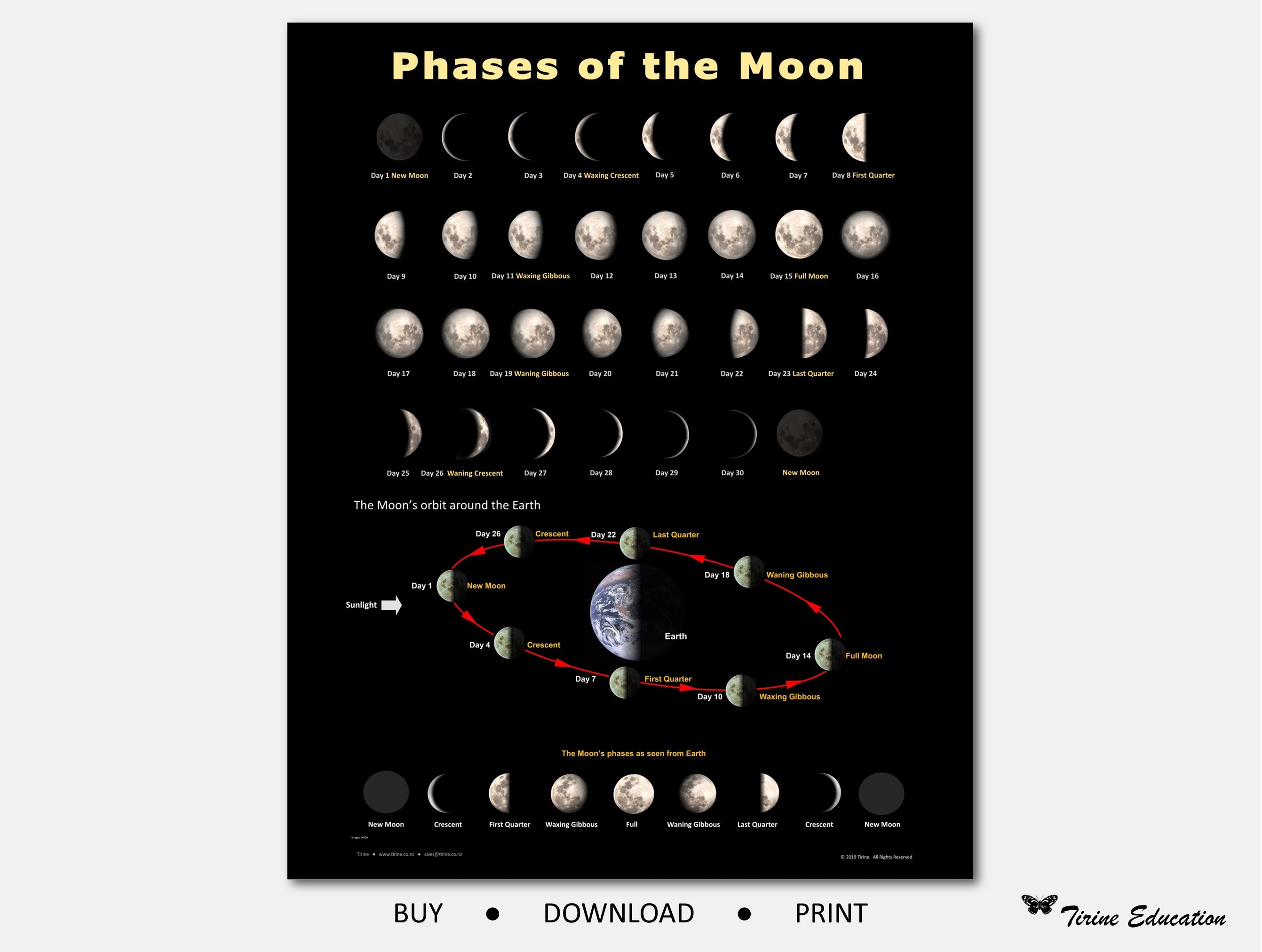 Phases of the Moon Poster, Earth Science Poster, Middle School, Grades ...
