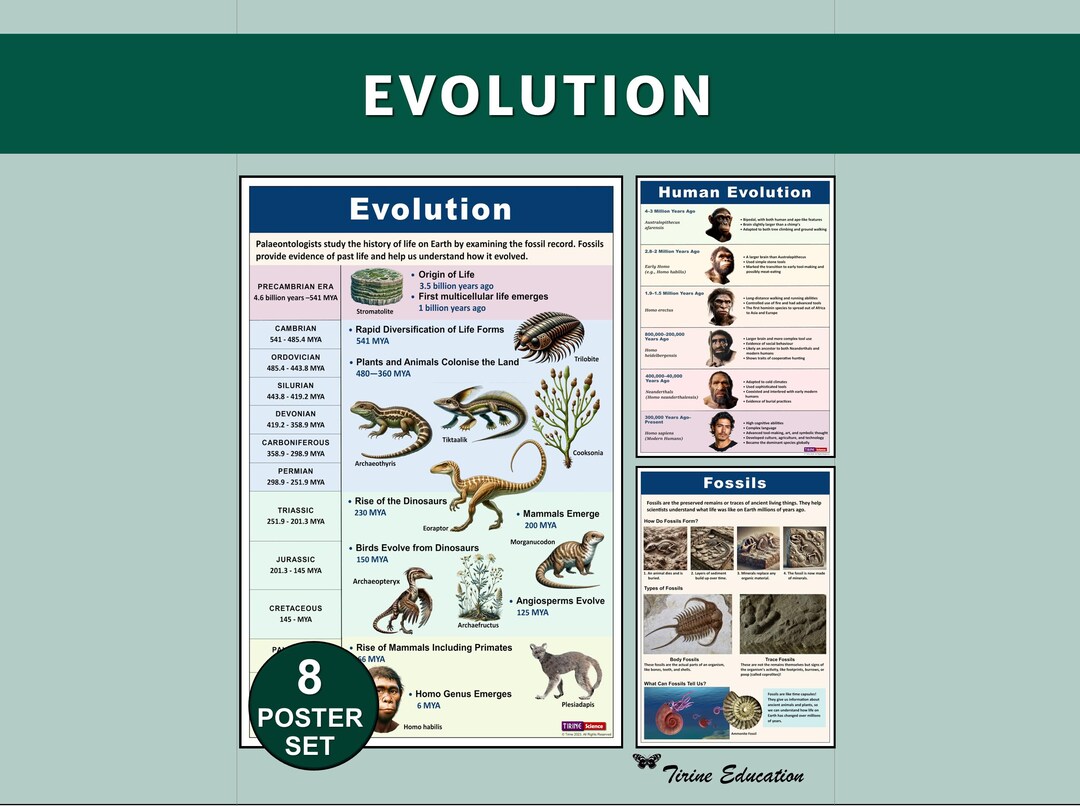 Evolution of Life Science Posters, 8 Printable Biology Prints for ...