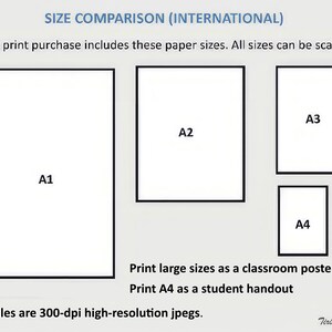 Primary Sources History Poster, History Sources, Educational Poster ...