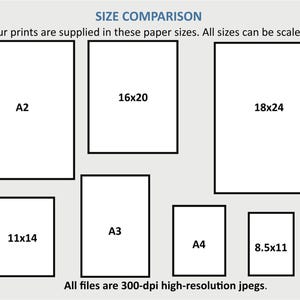 Plant Structure Poster, Science Biology, Middle School, High School ...