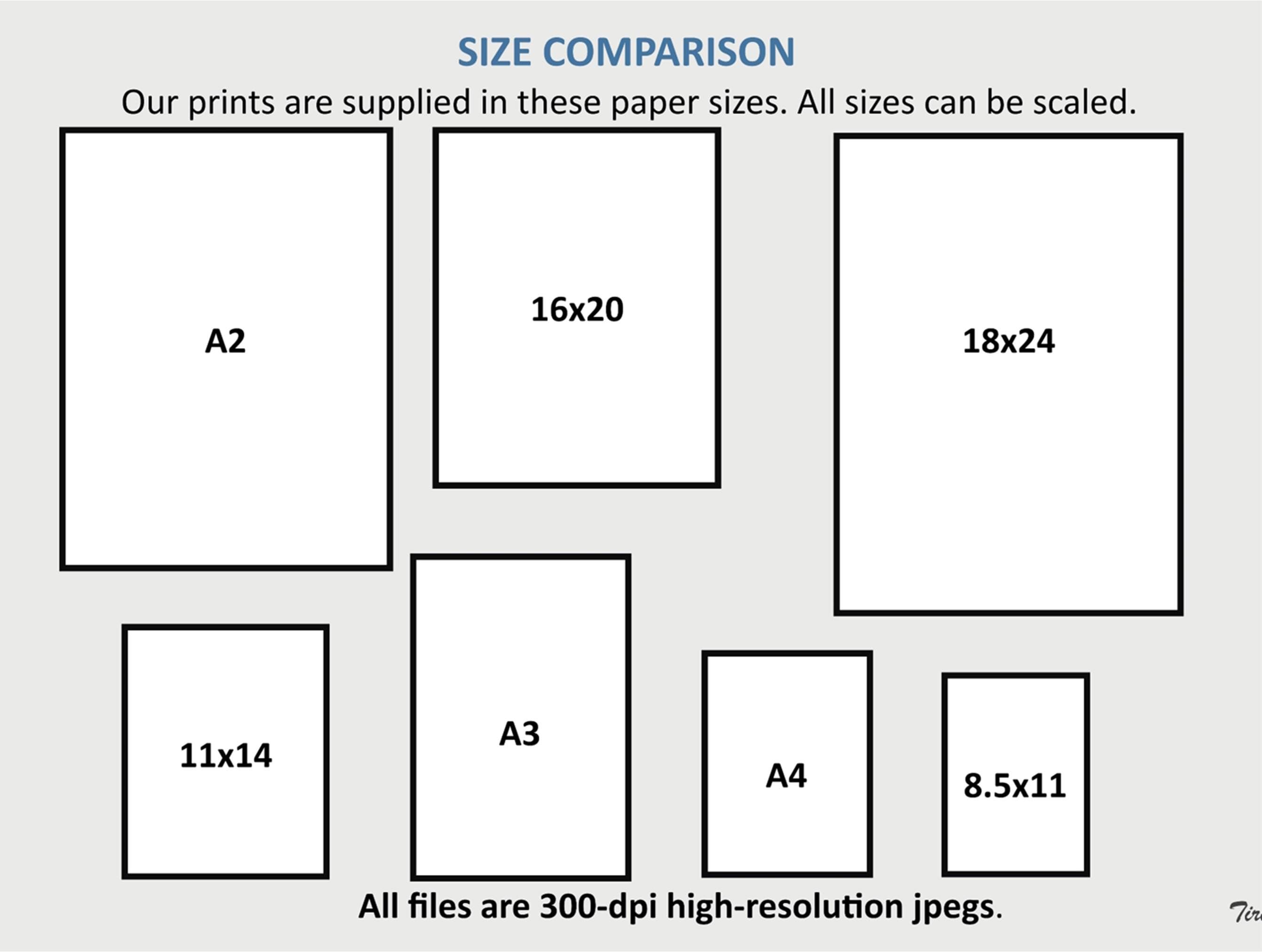 Plant Structure Poster, Science Biology, Middle School, High School ...