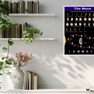 The Moon, Poster, Phases of the Moon, Science, Earth Science, Middle ...