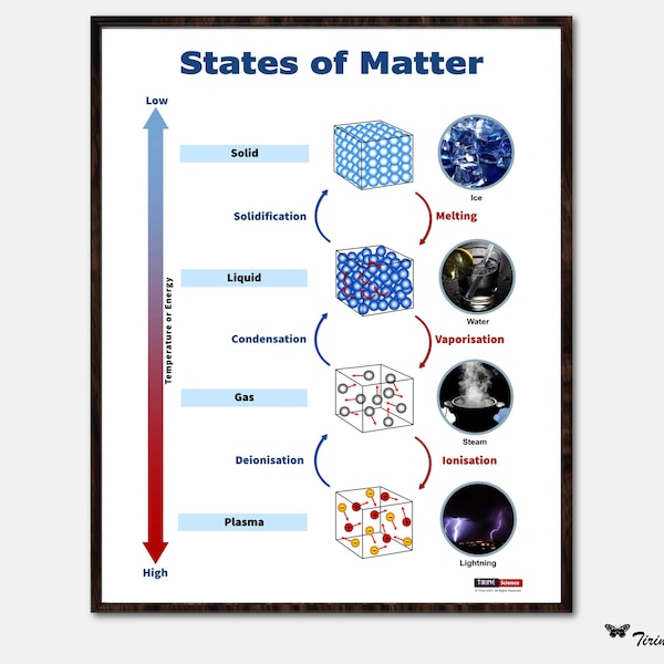 Science Poster - Etsy