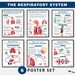 Human Biology Science Poster, Alimentary Canal, Human Digestive System ...