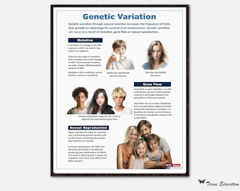 Animal Cell Poster Cell Biology Poster High School Science - Etsy