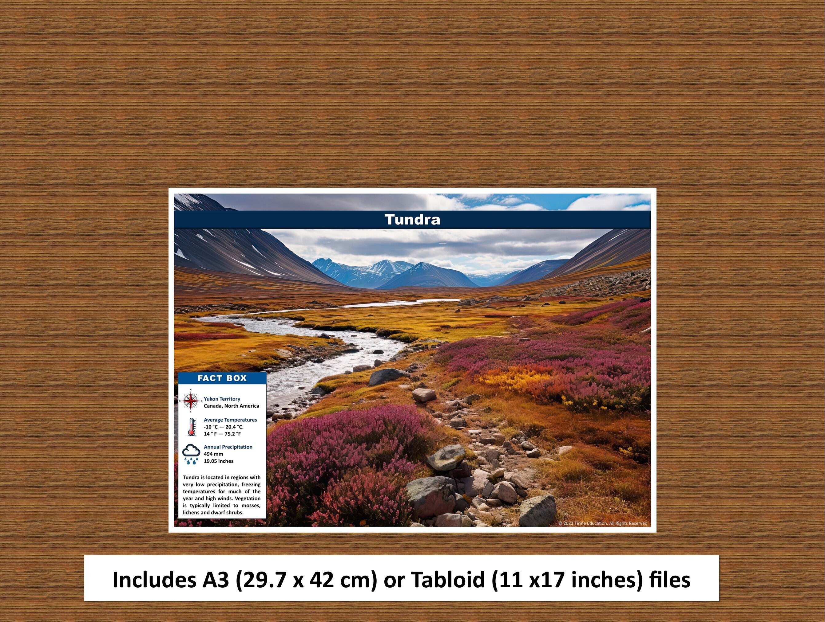 Terrestrial Biomes Classroom Display Set, Biology Posters, Middle and ...