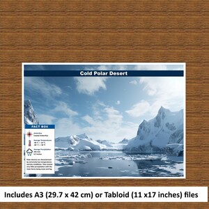 Terrestrial Biomes Classroom Display Set, Biology Posters, Middle and ...