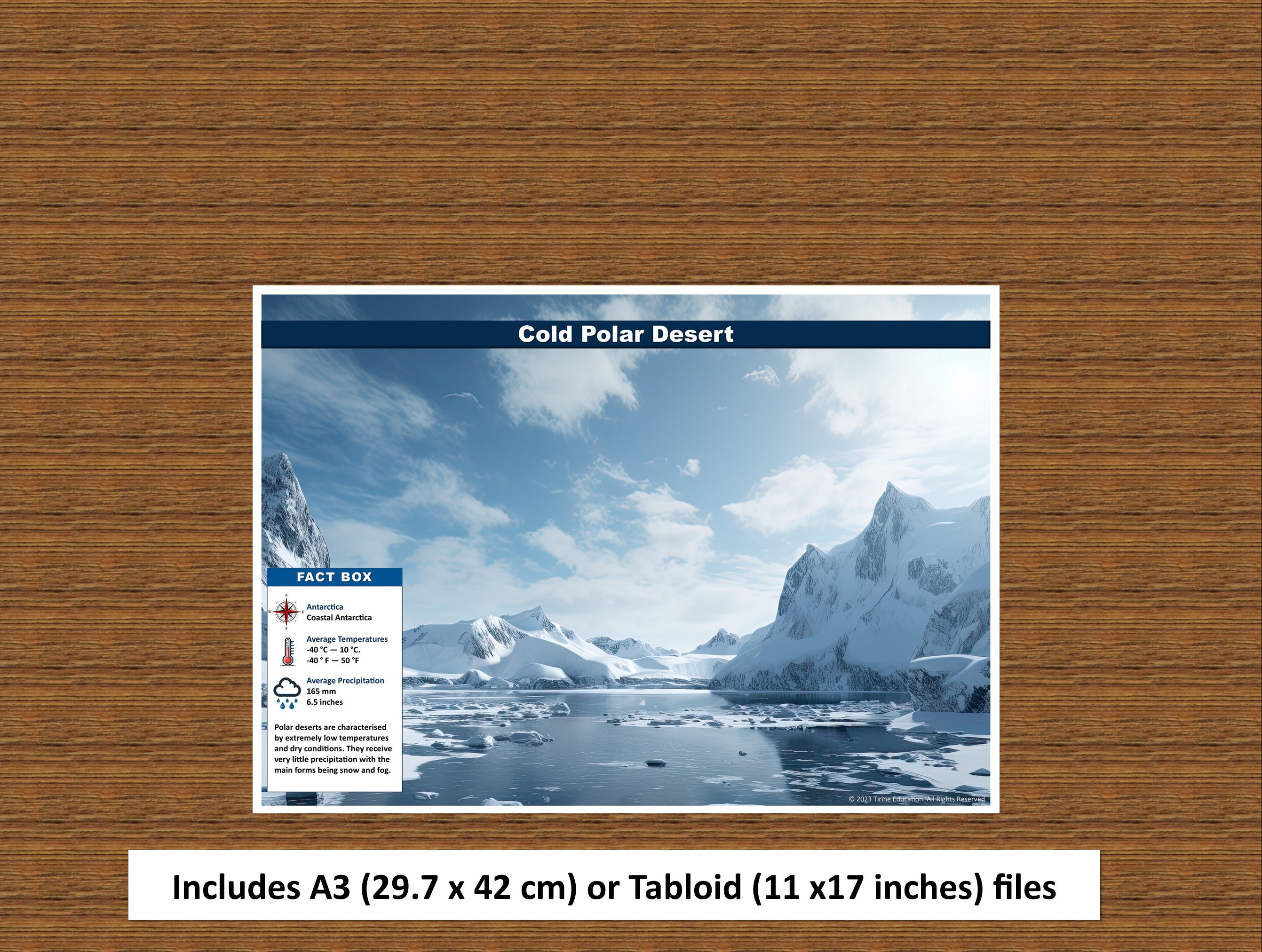 Terrestrial Biomes Classroom Display Set, Biology Posters, Middle and ...