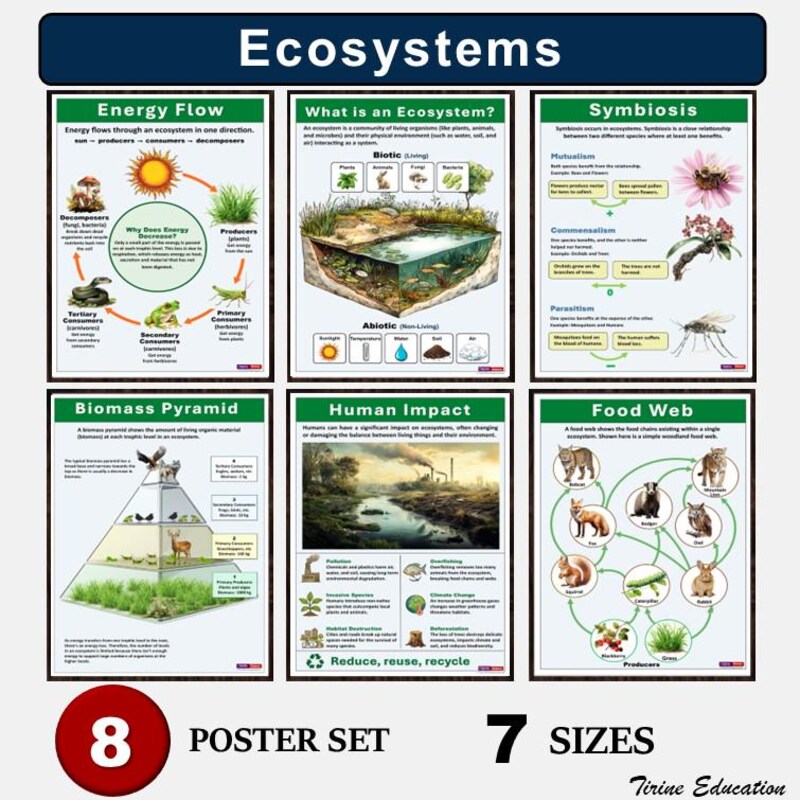 Science Poster - Etsy