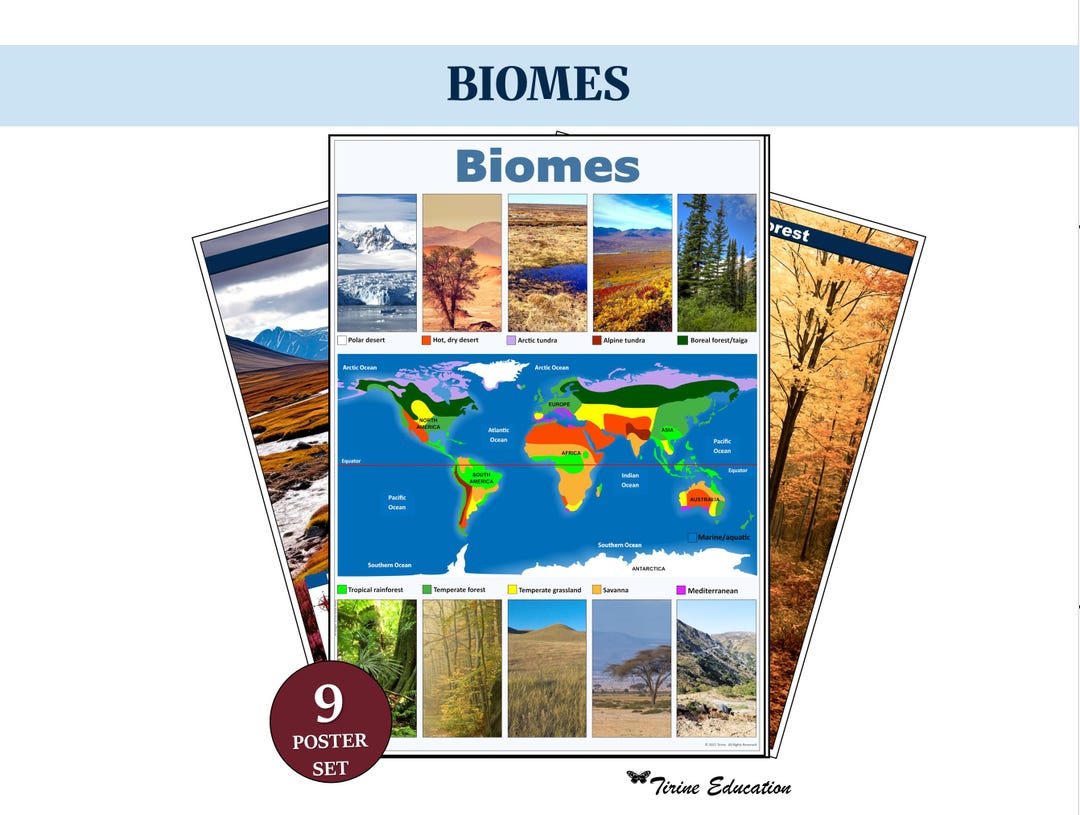 Geography Posters, Biomes, Printable Environmental Classroom Decor for ...