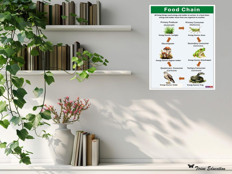 Ecosystems Environmental Science Posters, Digital, Printable Biology ...