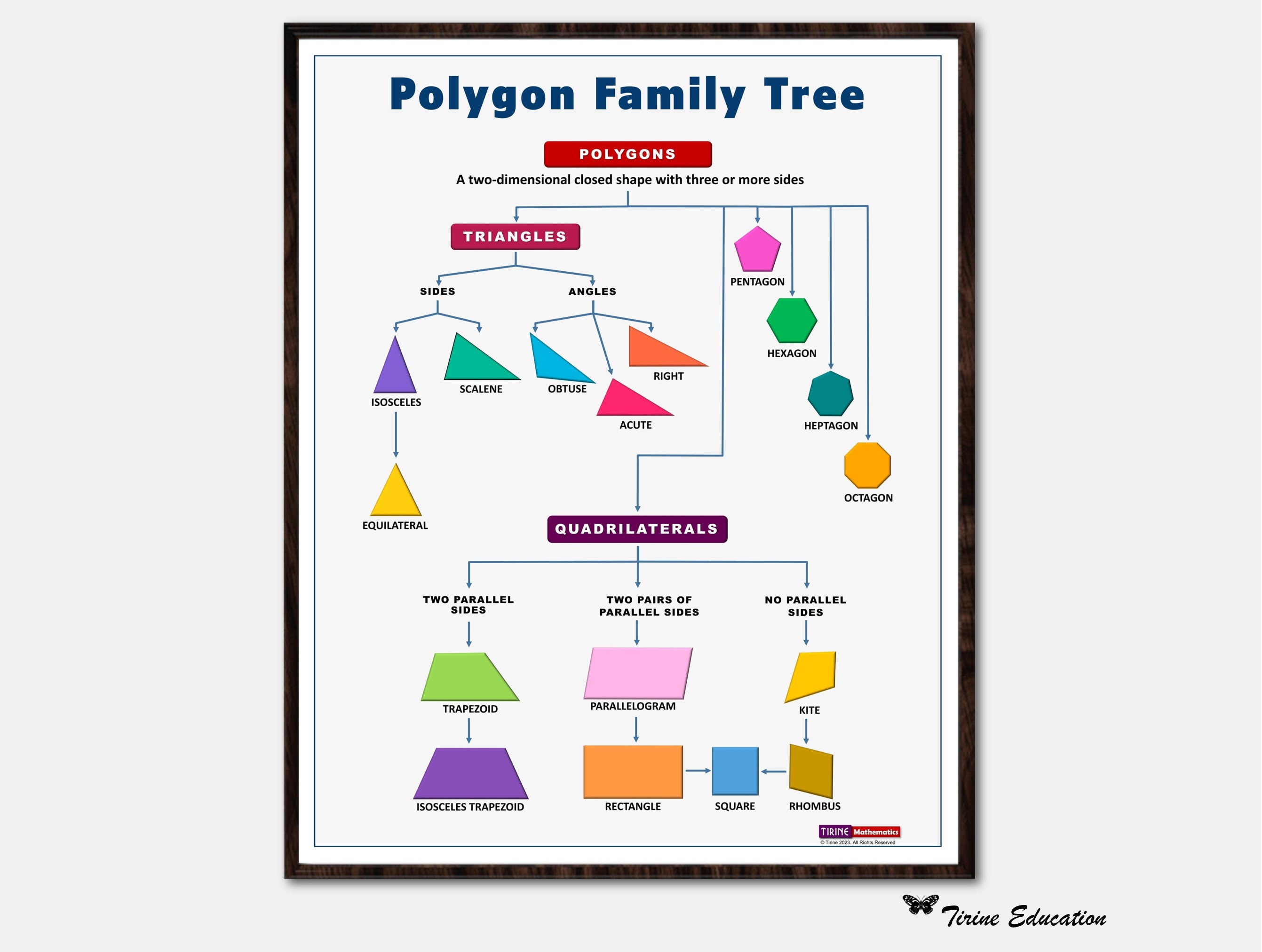Types of Triangles Plus Polygons Poster Set, Printable Digital Poster ...