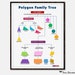 Polygon Family Tree Poster, Maths Poster, Elementary, Primary ...