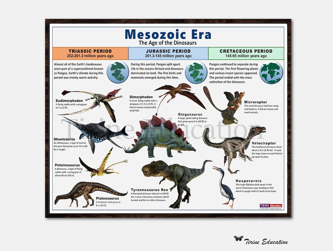 Mesozoic Era Poster, Biology Poster, Evolution, Dinosaurs, Biology ...