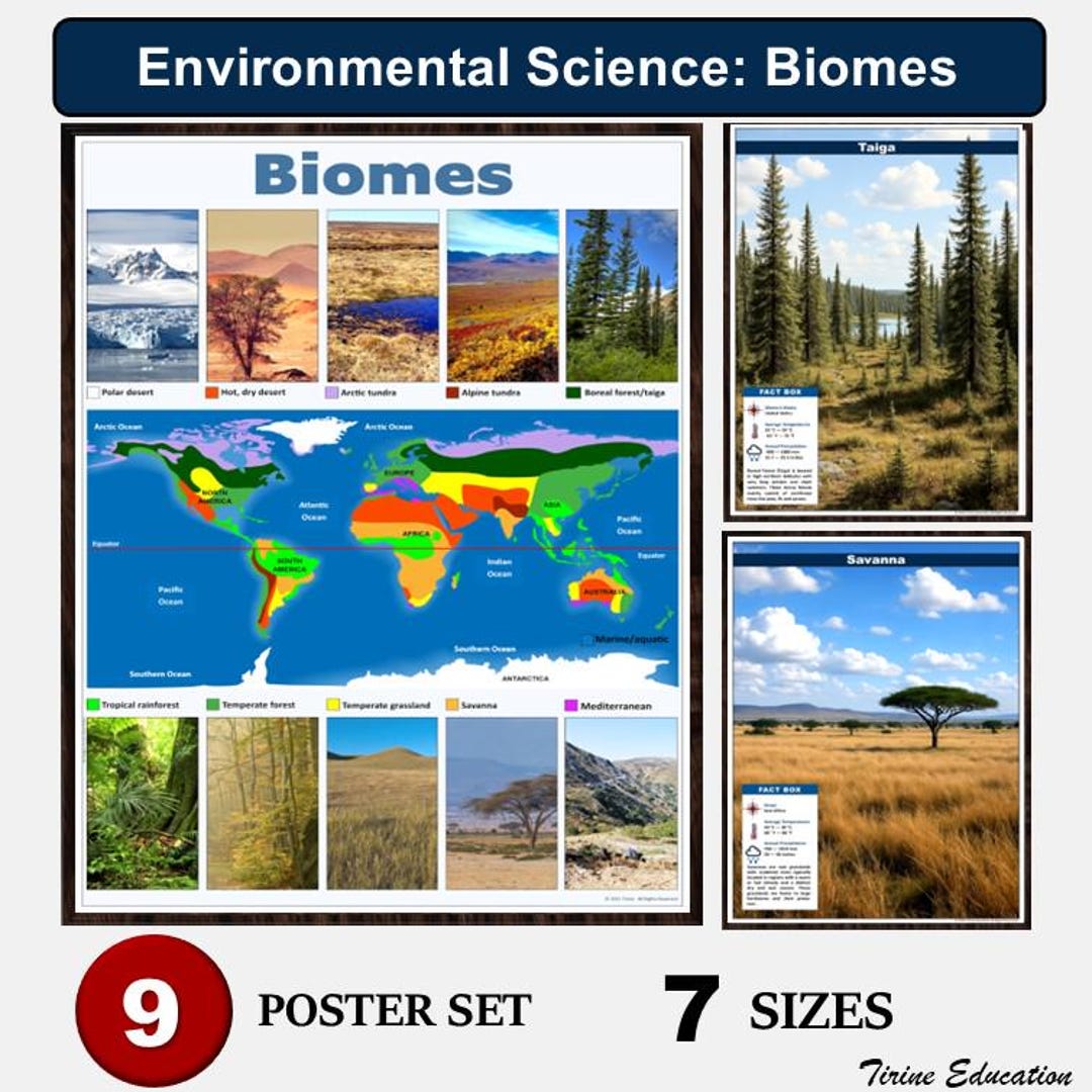 Biomes Environmental Science Poster Set, Middle School or High School ...