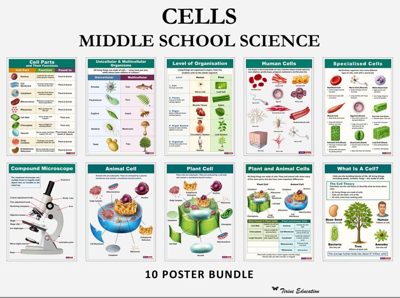 Cells Poster Set: Middle & High School Science Classroom Decor (digital Download) - Etsy