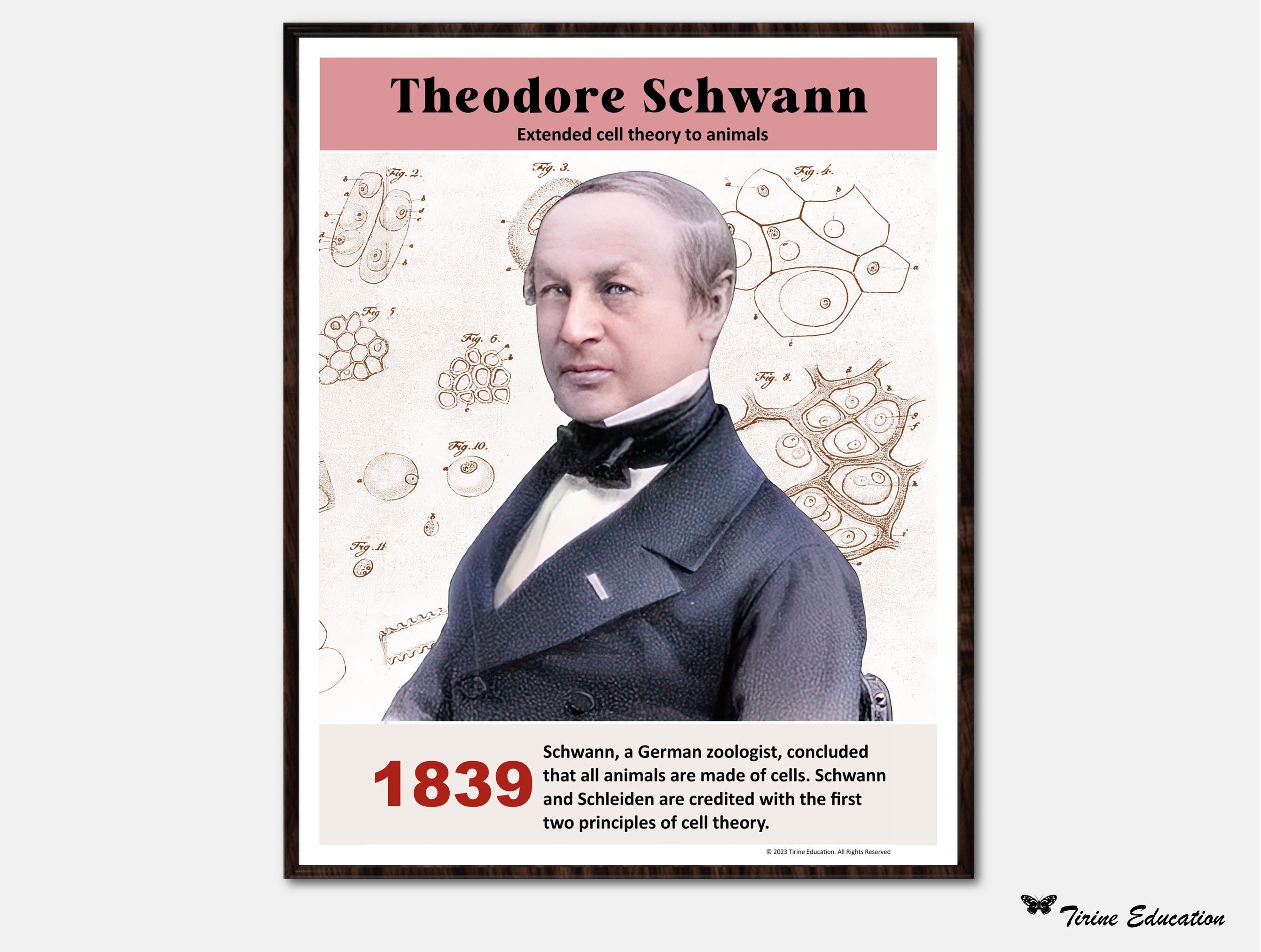 Famous Cell Biologists Poster Set, Biology Classroom, Science Classroom ...