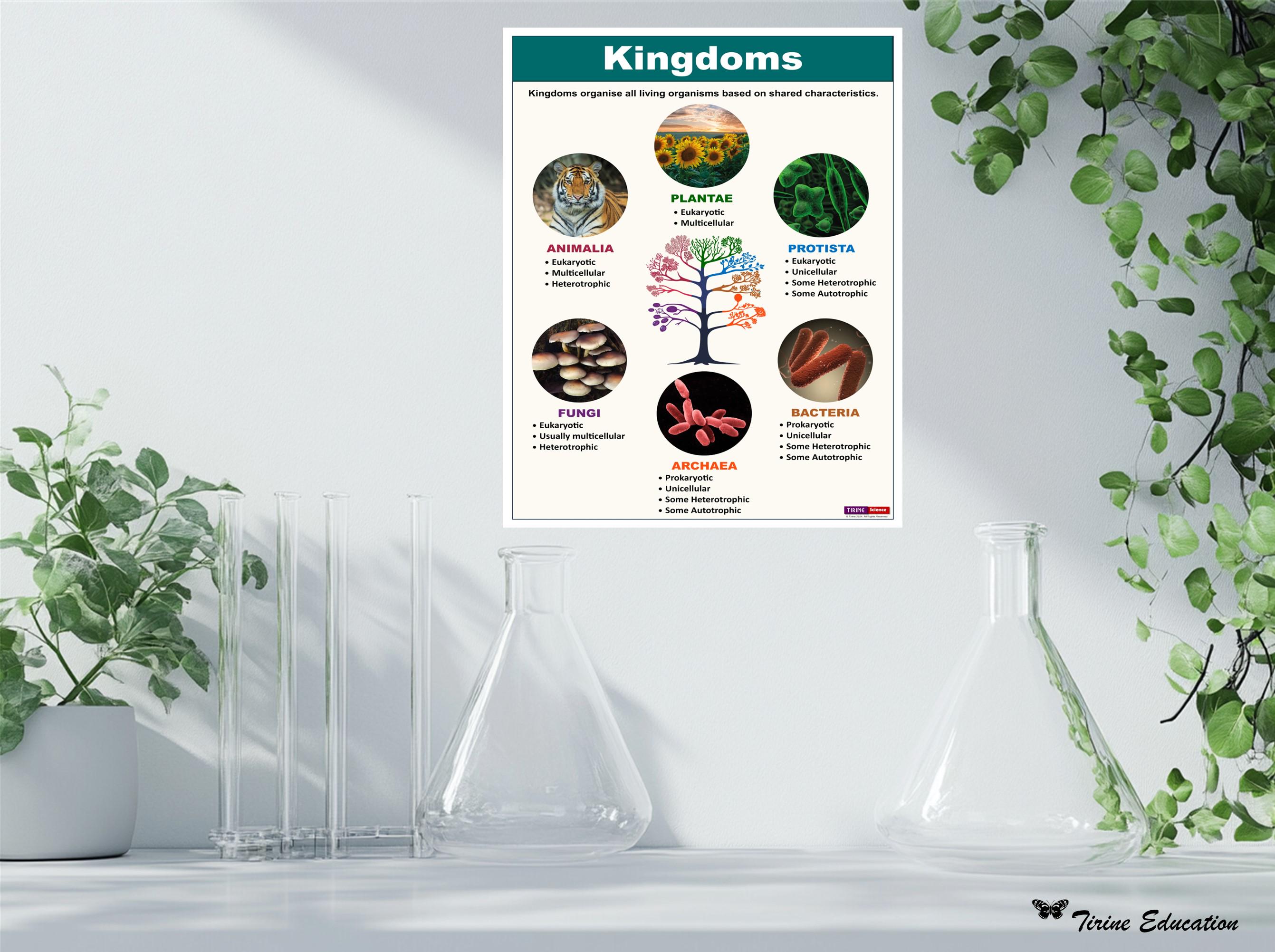 Biological Kingdoms, Poster Set, Biology, Science, Middle School, Grade ...
