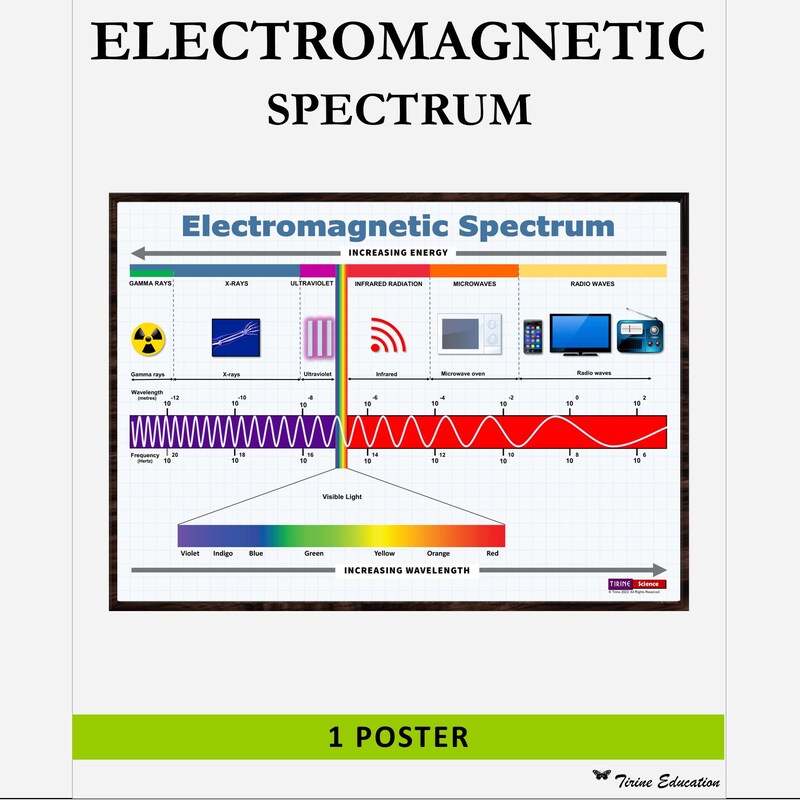 Physics Poster - Etsy