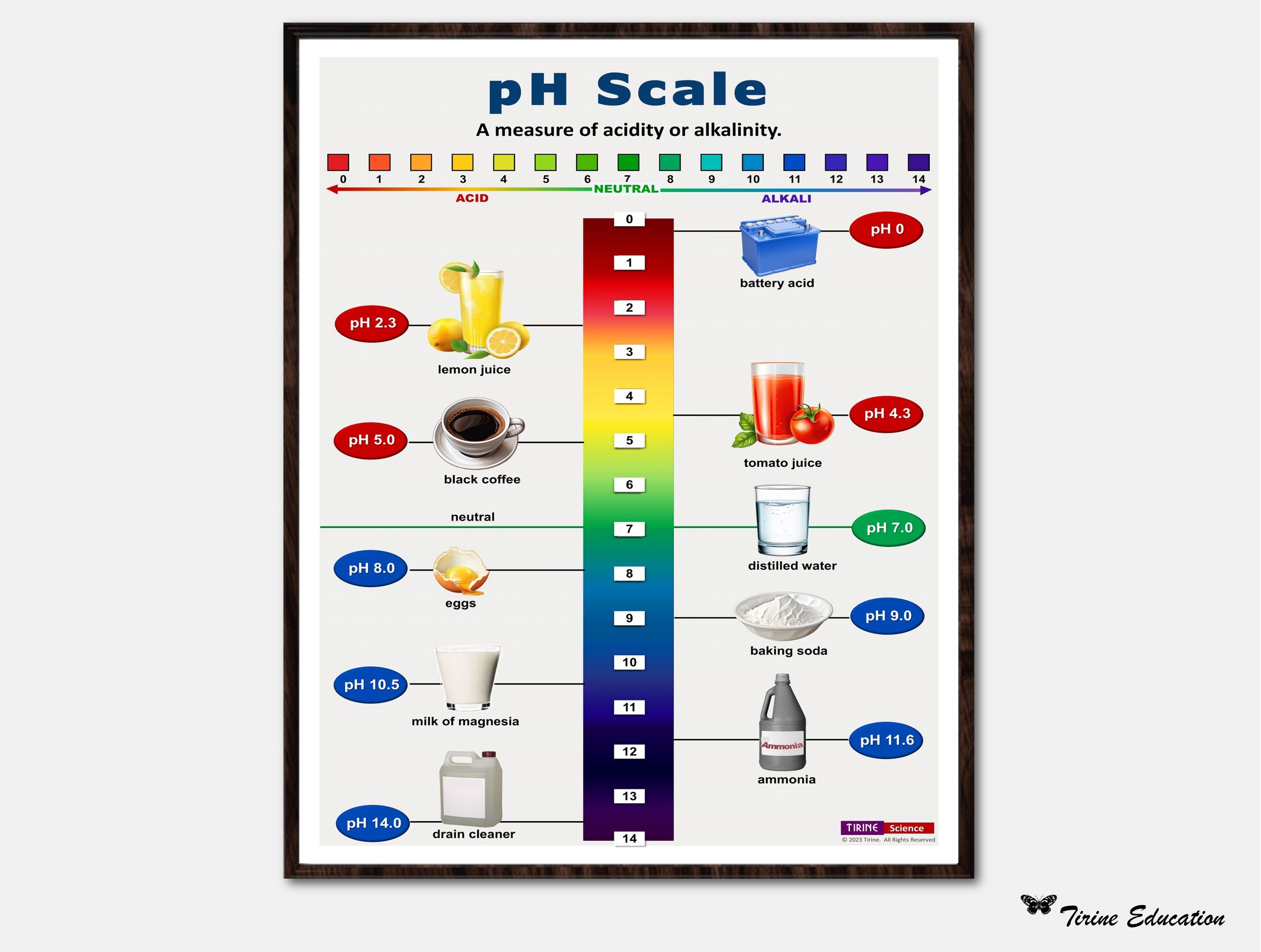 Ph Scale Worksheet For Kids